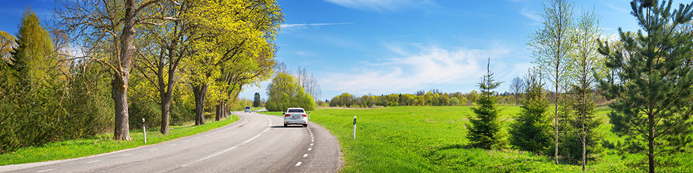 Five Spring Driving Tips You’d Never Expect | Youngs Insurance | Ontario